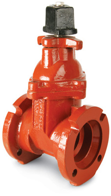 CI Gate Valve 6"MJ x MJ NRS-2"OP.NUT-CL200-AWWAC509 | USABlueBook.com