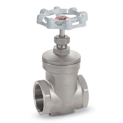 NRS 316 SS Gate Valve, 2" NPT | USABlueBook.com