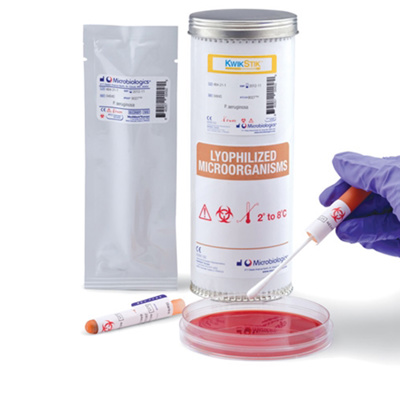 KWIK-STIK Klebsiella aerogenes, ATCC 13048™, 6 pack | USABlueBook.com