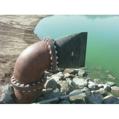 Proco 710 4" Flanged Check Valve, Neoprene | USABlueBook.com