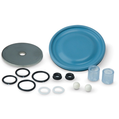 Walchem Repair Kit, L4VS-PK | USABlueBook.com