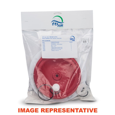 FTI Wet End Repair Kit for FTI Air AODD Pumps, PVDF/PTFE, 1/2", FW05V ...